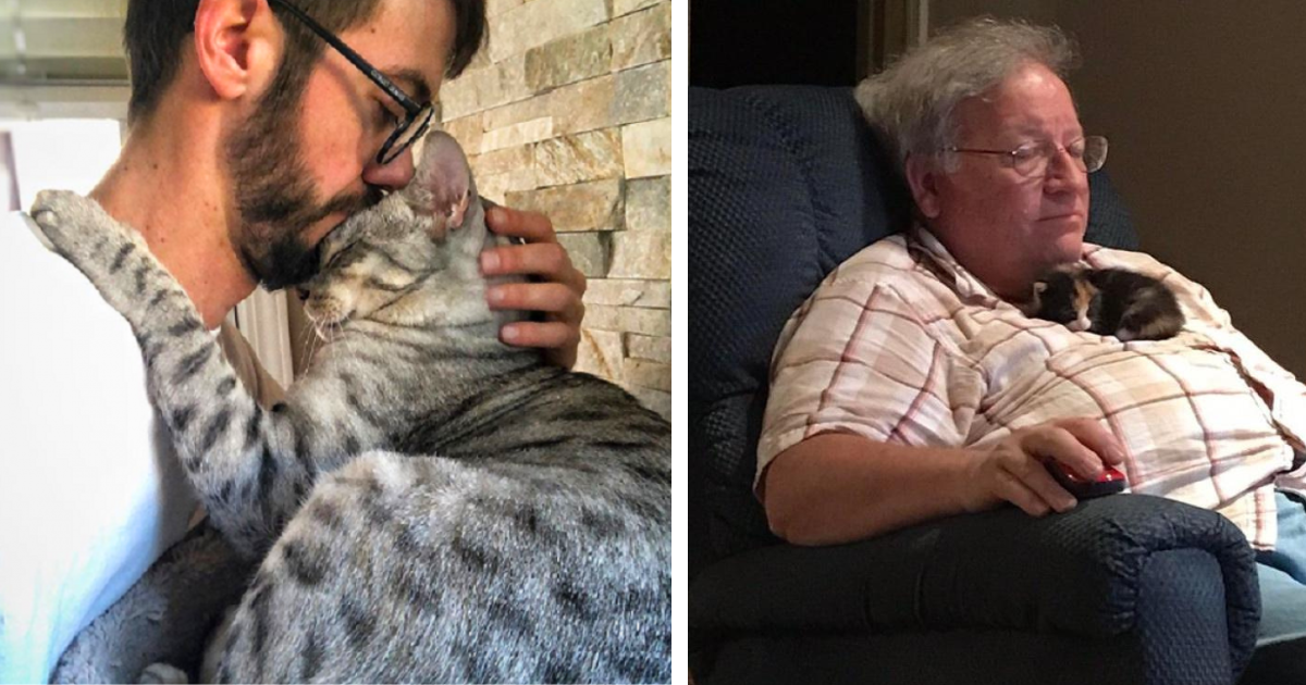24 Uncertain Dads Who Uncovered Unconditional Love for Cute Kitty Cats ...