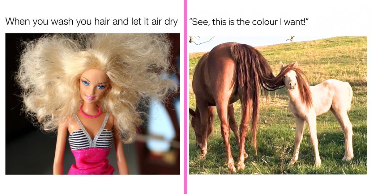 Soft Hair Memes 30 Hilarious Hair Care Memes For Women Taming The