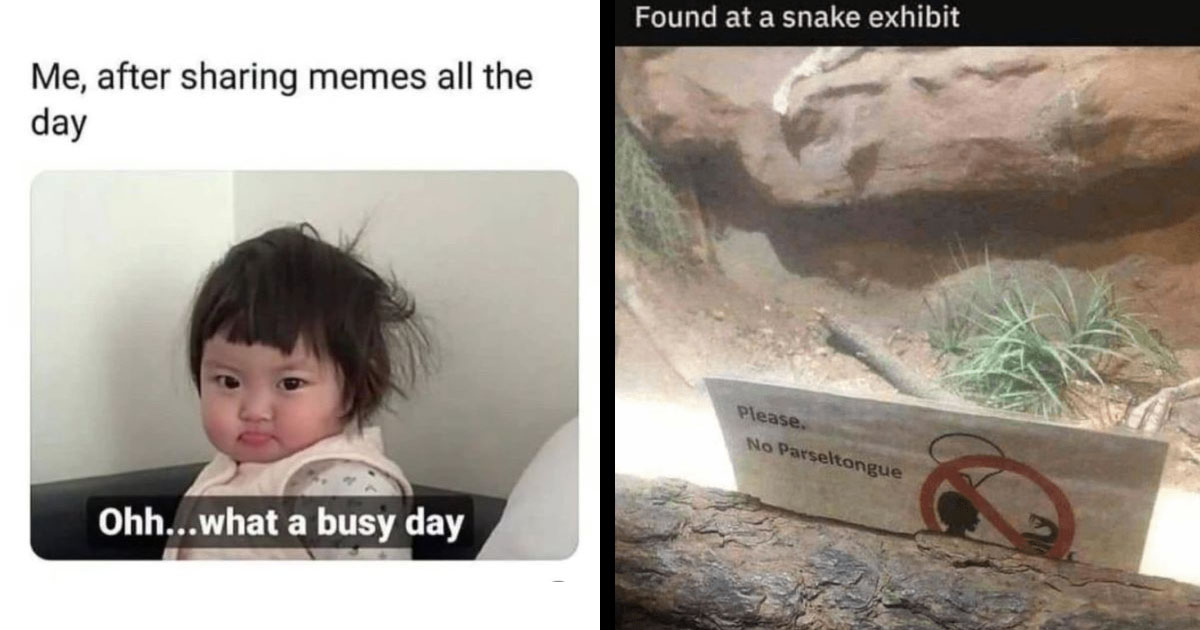 32 Memes That Include Tweets Too - Memebase - Funny Memes