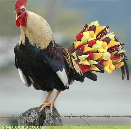 Puns - rooster - Funny Puns - Pun Pictures - Cheezburger