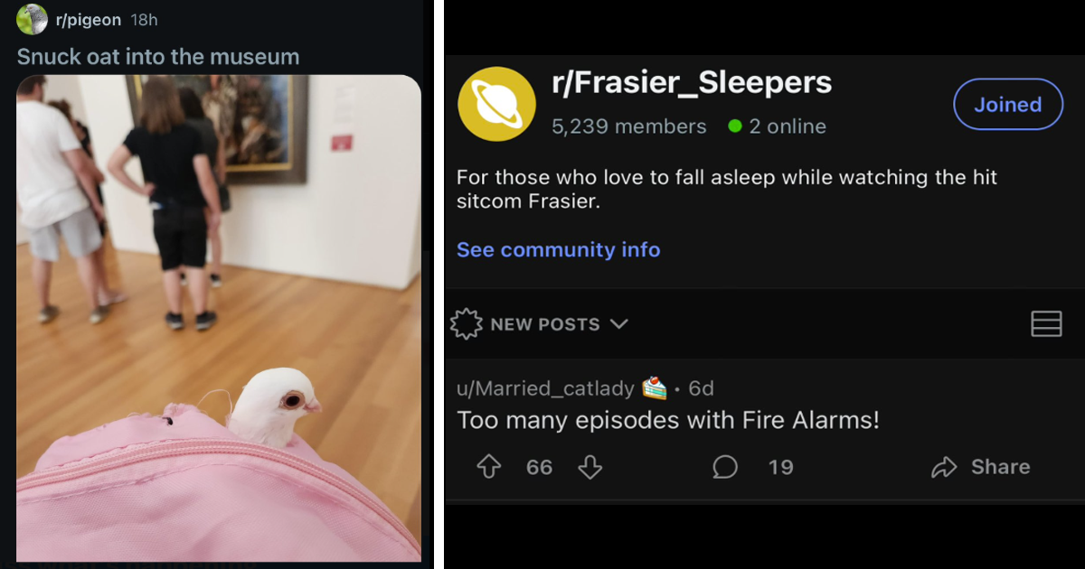 The Most Entertaining Reddit Posts of the Week (July 12, 2024 ...