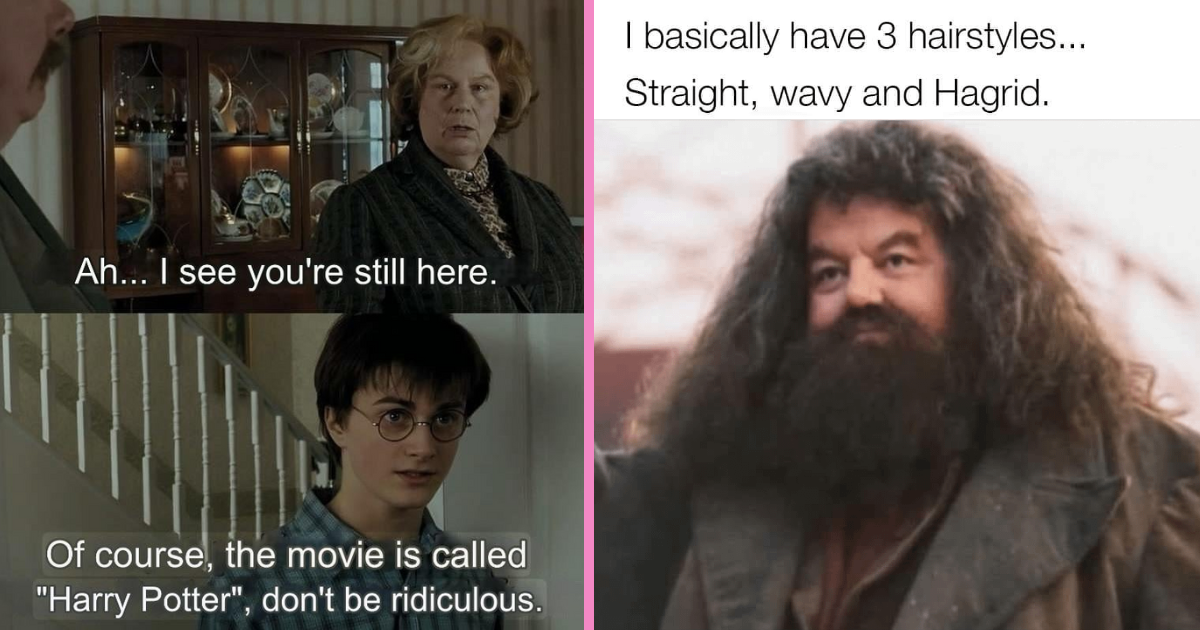 30 Harry Potter Memes for Charming Hogwarts Ladies Searching for the ...