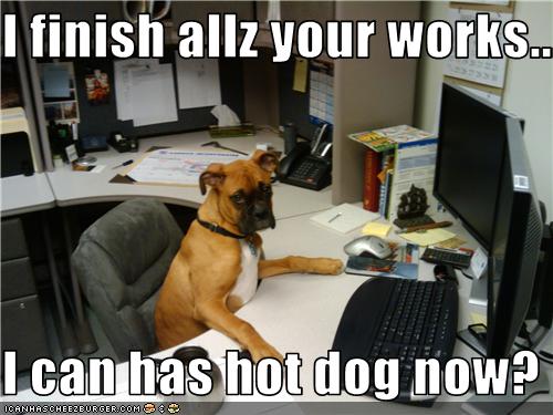 Bring Your Dog to Work Day - I Has A Hotdog - Dog Pictures - Funny ...