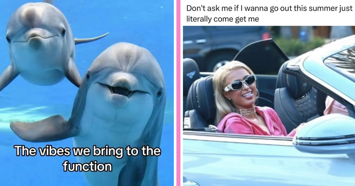 30 Sultry Summertime Memes for Ladies Lathering Sunscreen at the Beach ...