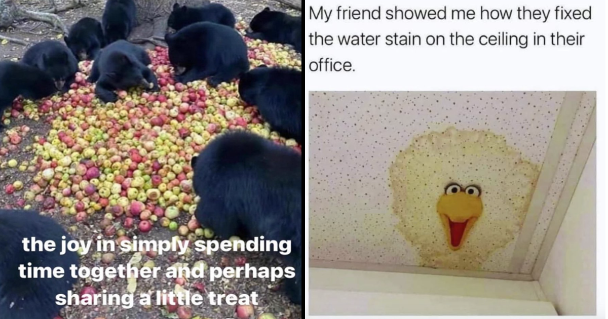 The Best Heartwarmingly Wholesome Memes and Posts of the Week (July 18 ...