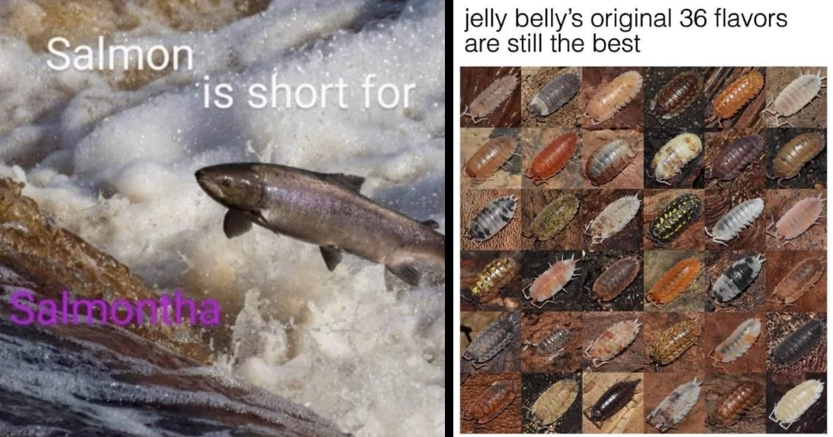 20+ Freshly Sprouted Nature Memes for Hikers and Nature Lovers Alike ...