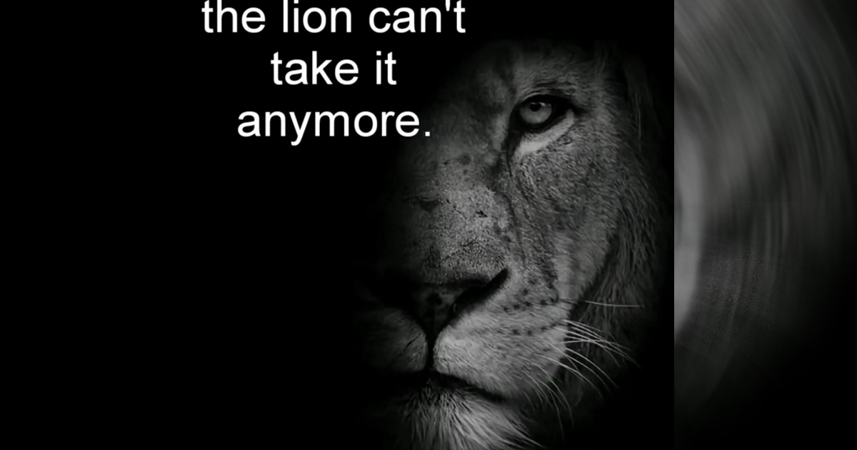 'The Lion' Meme Reveals How the New Internet Clout is All About ...