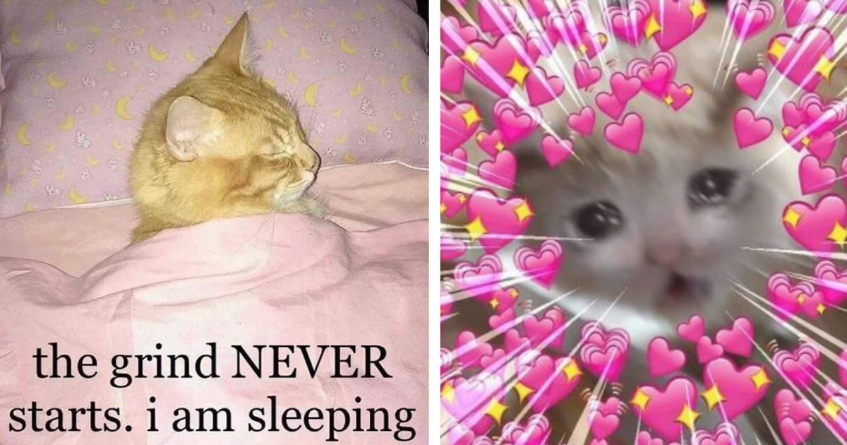 21 Classic Cat Posts to Celebrate Catruday the 90s Feline Way - I Can ...