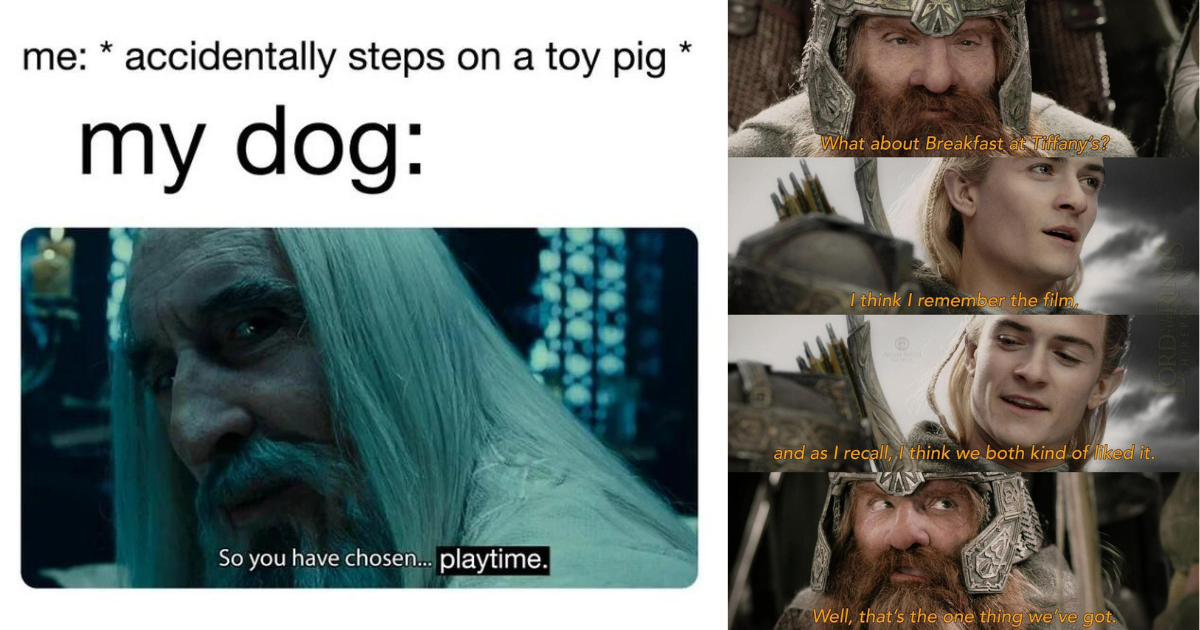 45 Lord of the Rings Memes That Were Forged in the Fires of Mount Doom ...