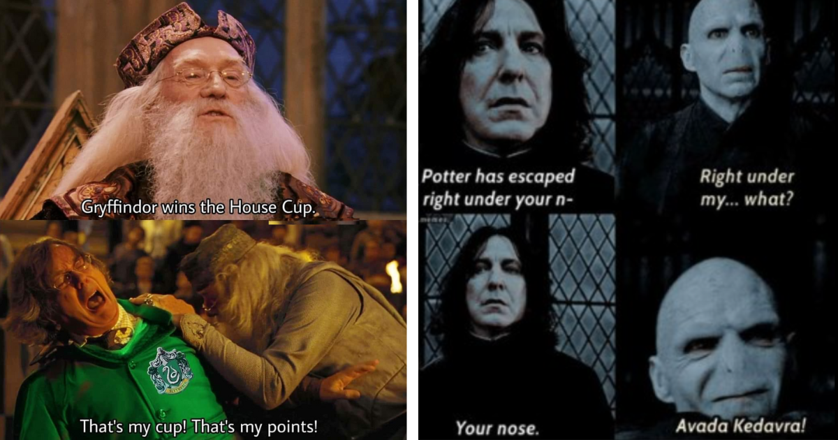 28 Harry Potter Memes for First-Year Hogwarts Students Waiting for the ...