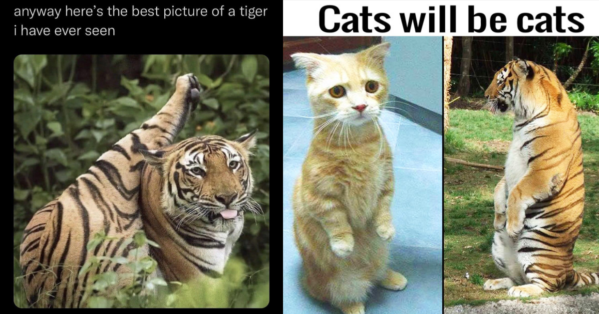 Terrible Twist Tiger Memes 29 Terrifyingly Terrific Tiger Memes For