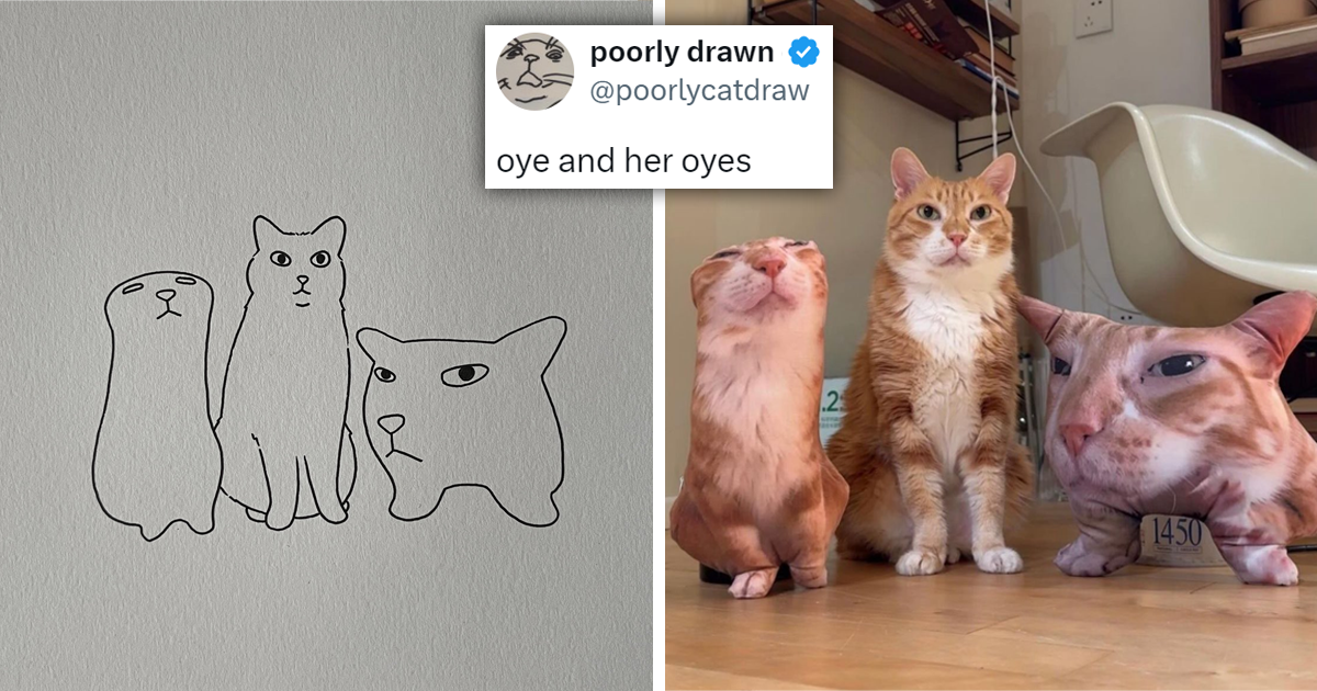 The Freshest and Funniest Feline Tweets of the Week (July 28, 2024) - I ...