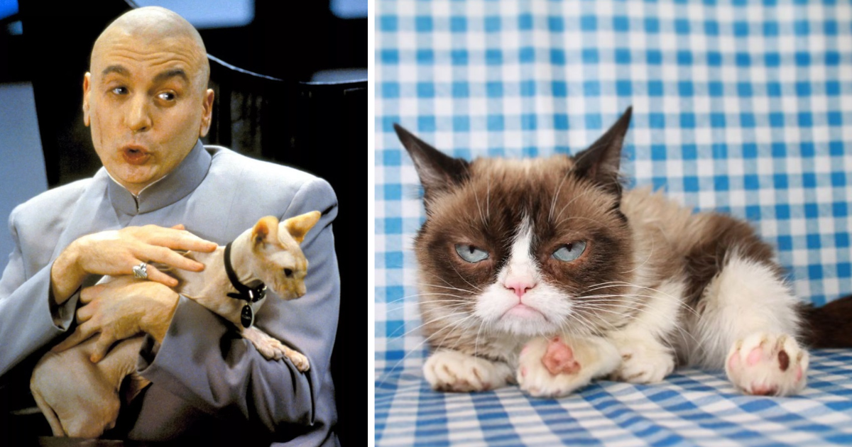 21 Famous Fabulous Felines Whose Polished Paws Totally Stole the ...