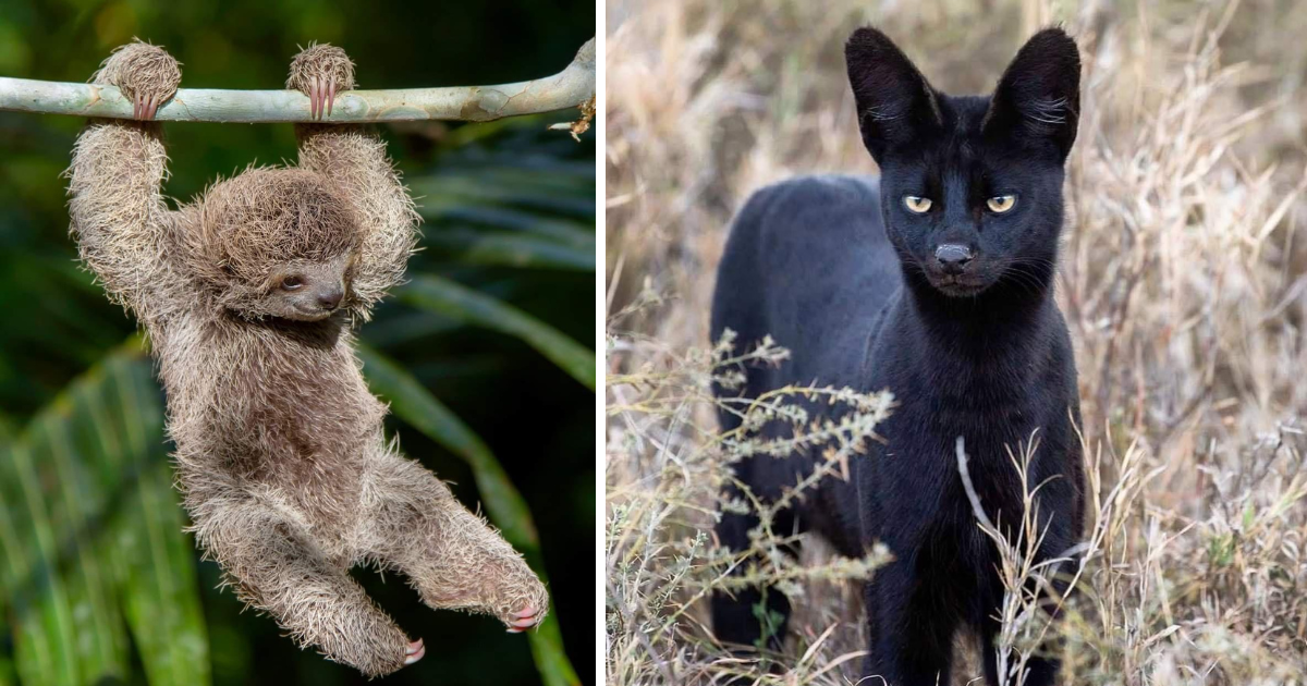 26 Delightfully Diverse Portraits That Make for a Colorful Collection ...