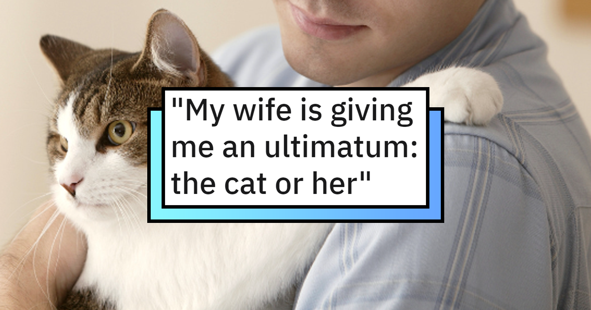 'My wife is giving me an ultimatum- the cat or her': Wife Gets Stressed ...
