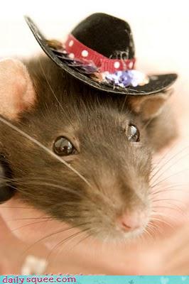 Daily Squee - Cute Animals - Cute Baby Animals - Cute Animal Pictures ...