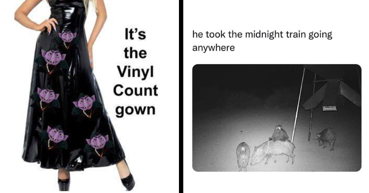 36 Song Lyric Memes That You Can Sing Along To - Memebase - Funny Memes