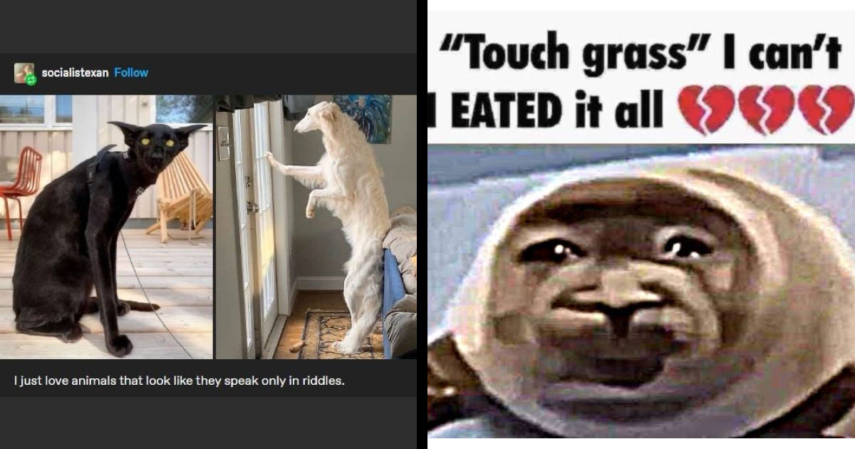 Funny Memes That Are Mostly Tumblr Posts - Memebase - Funny Memes