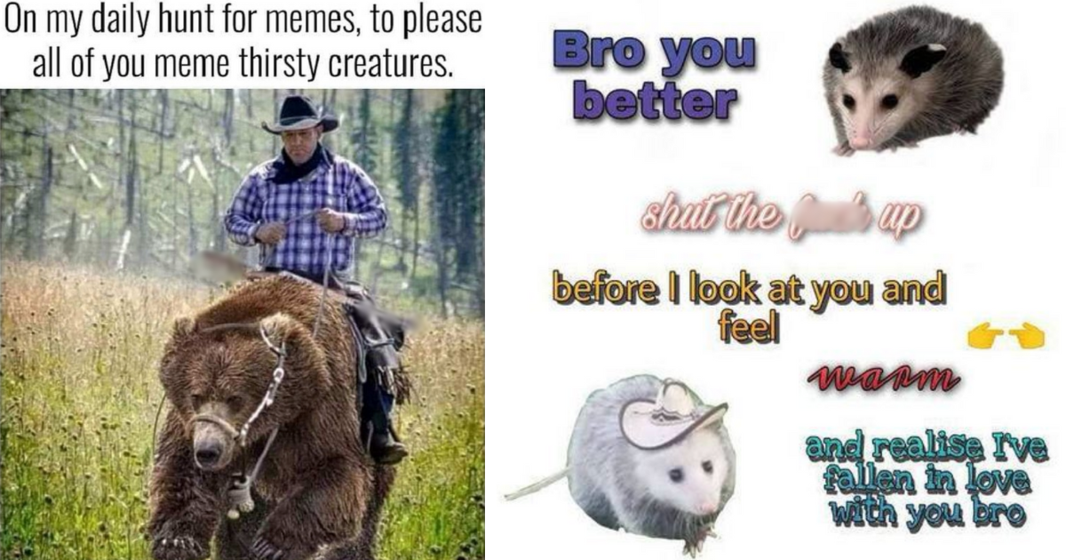 28 Uplifting Funny Animal Memes to Elevate Your Weekend - Animal Comedy ...