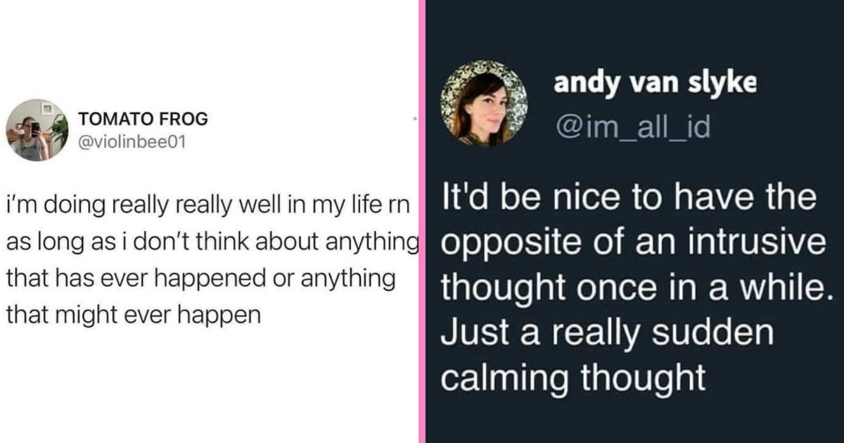 25 Relatable Introvert Tweets for Anxious Women Soothed by Sarcasm ...