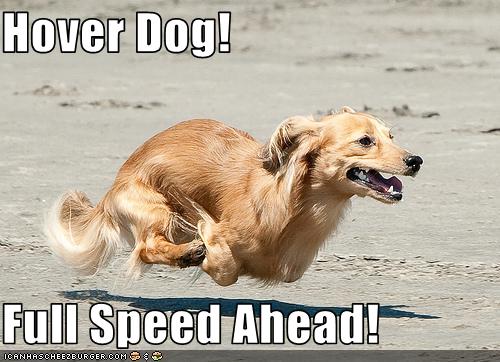 Vrooooooom! - I Has A Hotdog - Dog Pictures - Funny pictures of dogs ...