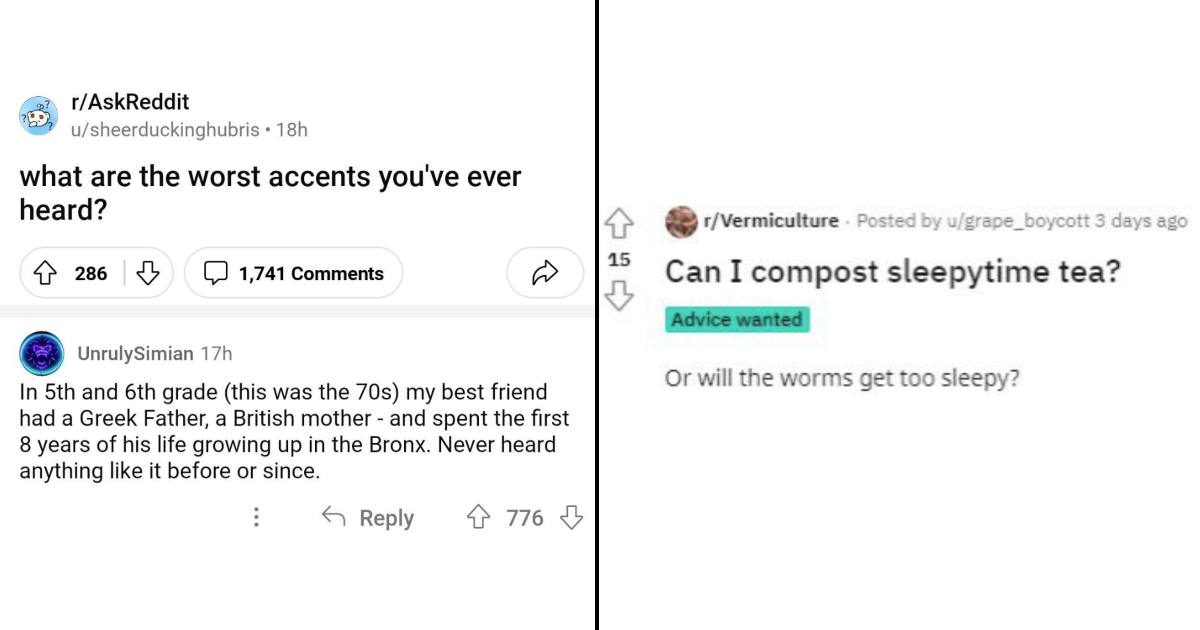 The Most Entertaining Internet Posts From Inquisitive Minds This Week ...