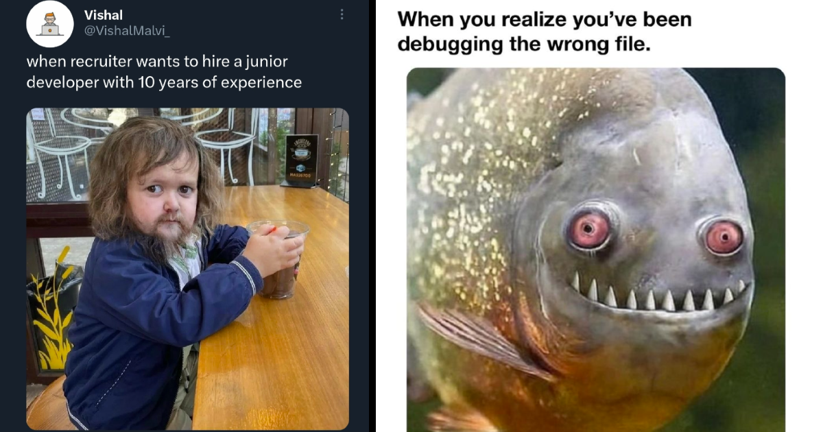 Programming Memes for Coding Geeks (August 18, 2024) - Memebase - Funny ...