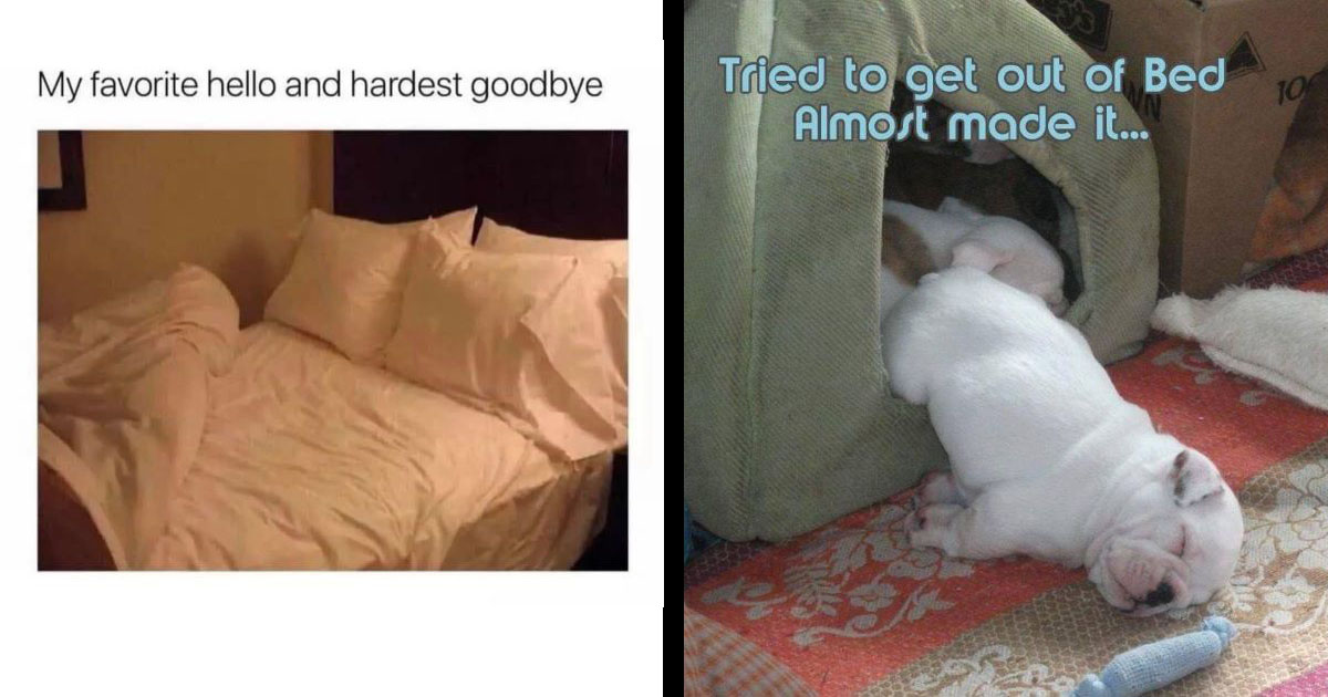 38 Sleepy Memes For Tired Oversleepers in an Early-Risers World ...