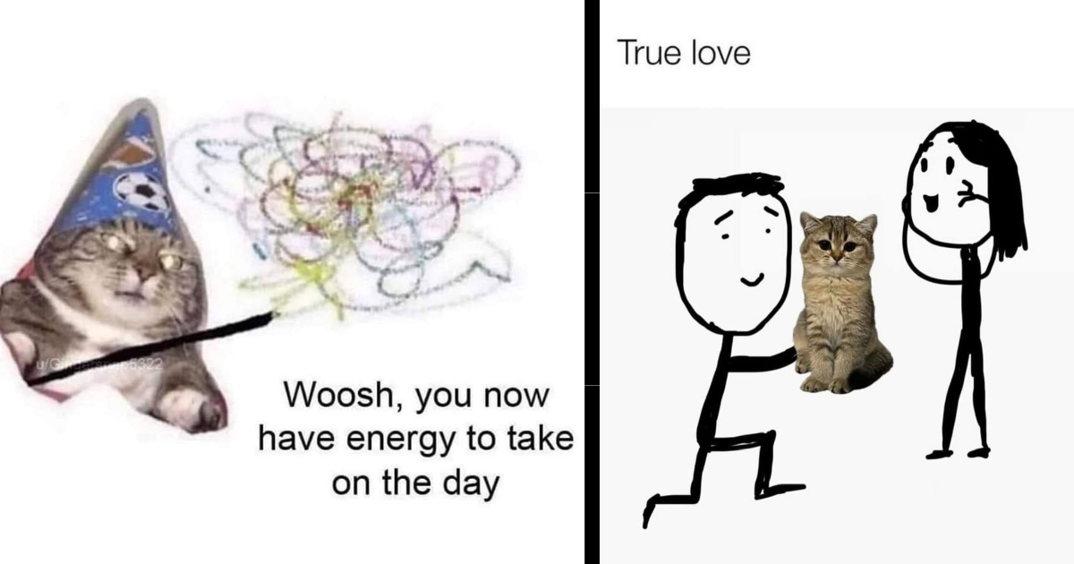 25 Feisty Fuzzy Feline Memes That'll Satisfy Your Inner Crazy Cat Lady ...