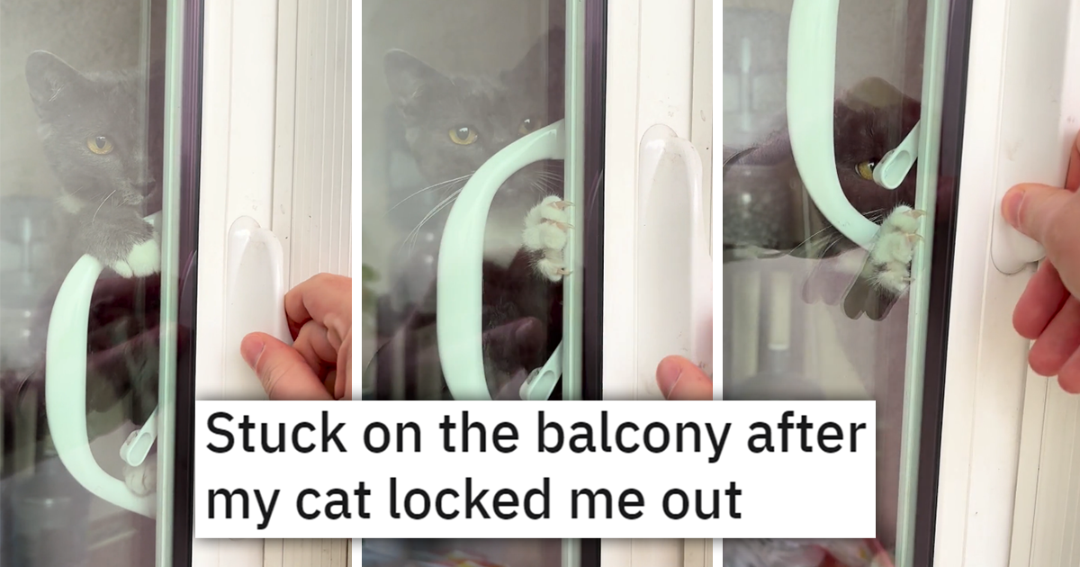 'The cat fully knows what it is doing': Felonious Feline Locks Her ...