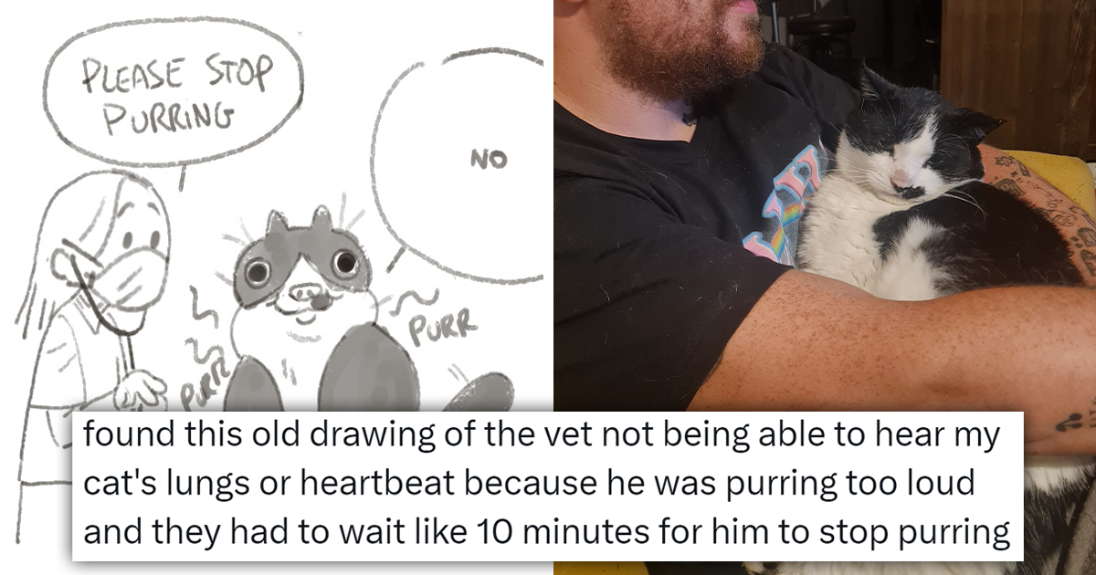 'The vet couldn't hear his heart': Derpy Cats Who Can’t Stop Purring at ...