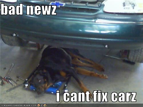 I Has A Hotdog - Dog Pictures - Funny pictures of dogs - Dog Memes ...