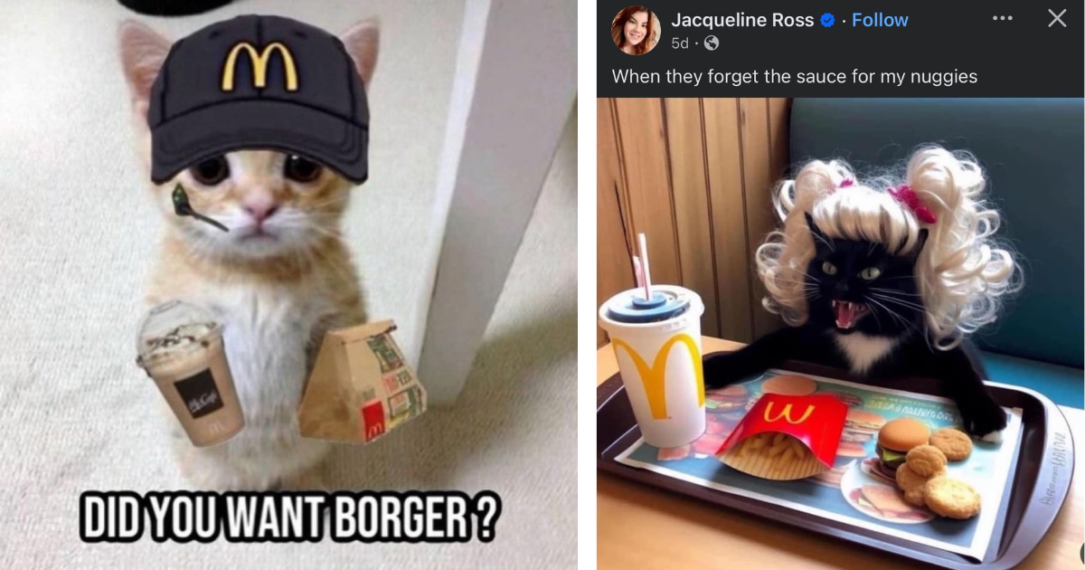 I Can Has Cheezburger? - Cats - Page 3 - Funny Animals Online - Cheezburger