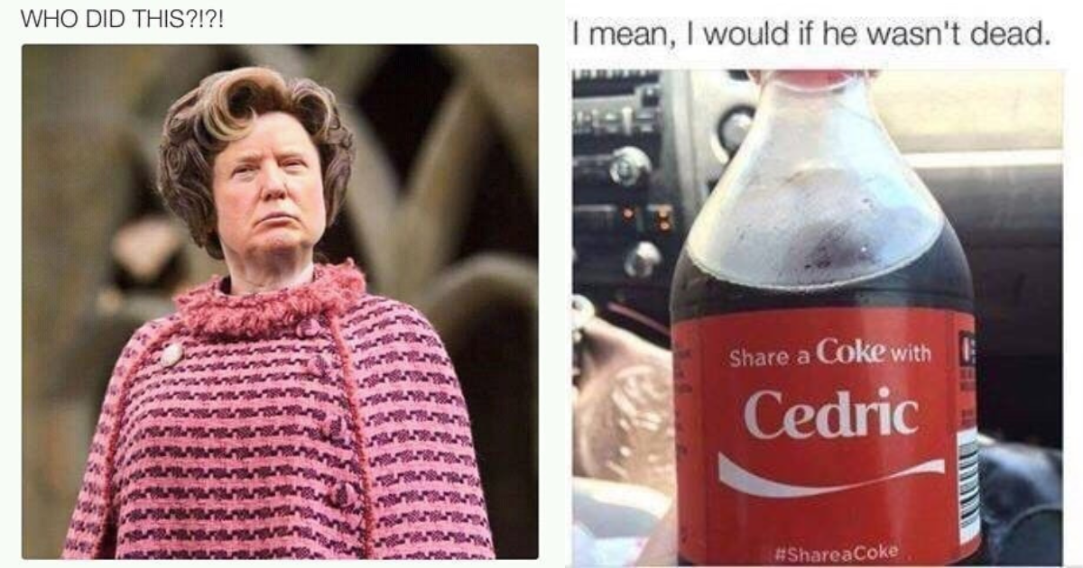 37 Harry Potter Memes for Young Wizards Who Love Quidditch - Geek ...