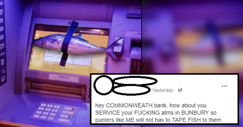 Internet Celebrates Frustrated Dude For Taping Fish to the Screen of ...