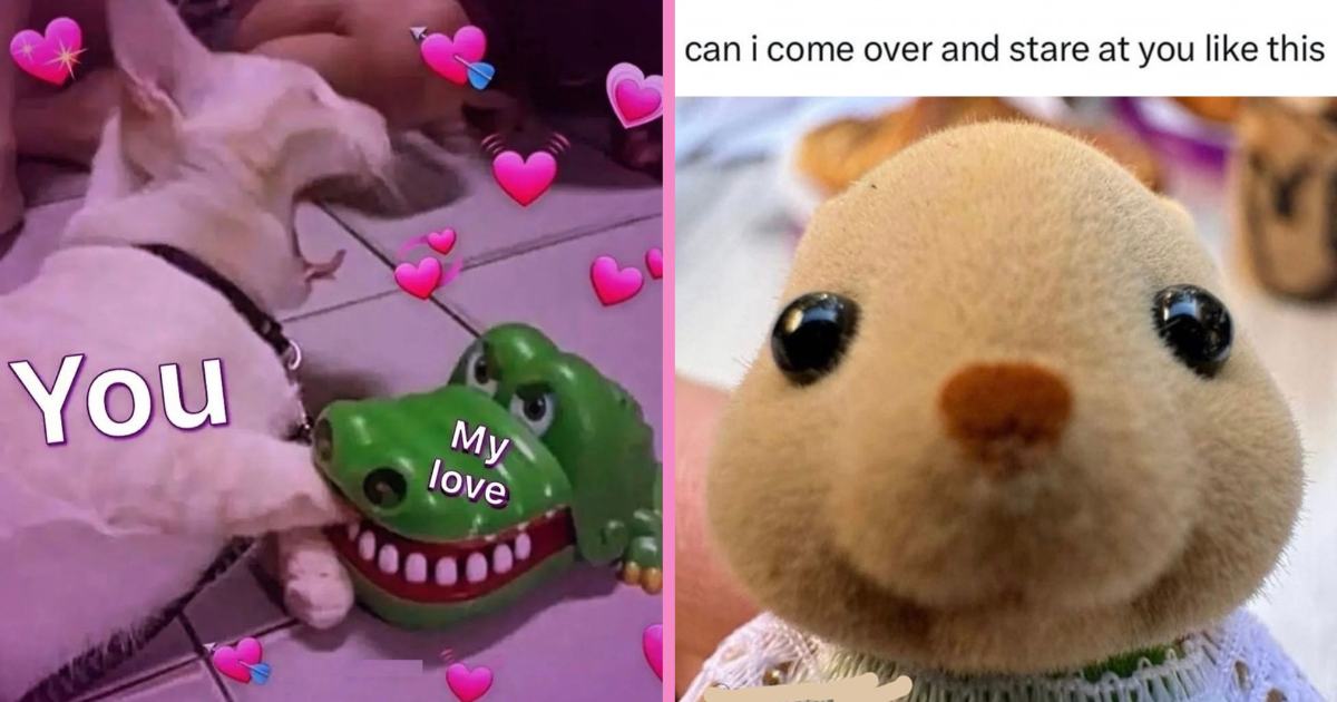 25 Wholesome Love Memes to Send Your Boo When You're Giggling, Kicking ...