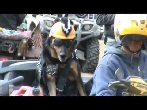 Animal Videos - extreme - Funny Animal Videos - Cheezburger