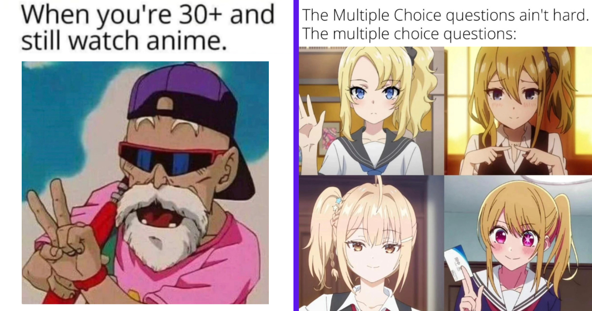 26 Amazing Anime Memes for Fans Hyped to Binge A Whole Series This ...