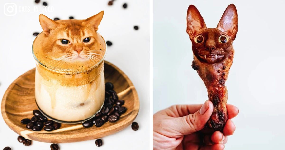 Purrfect Comfort Cats Fur Meownday: 25 Hilarious Pictures of Cats ...