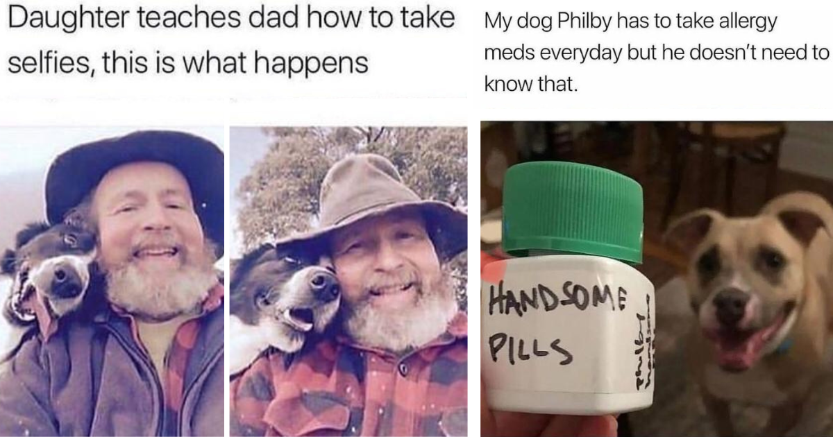 28 Heartwarming Dog Memes to Get You to Dogturday With a Wholesome ...