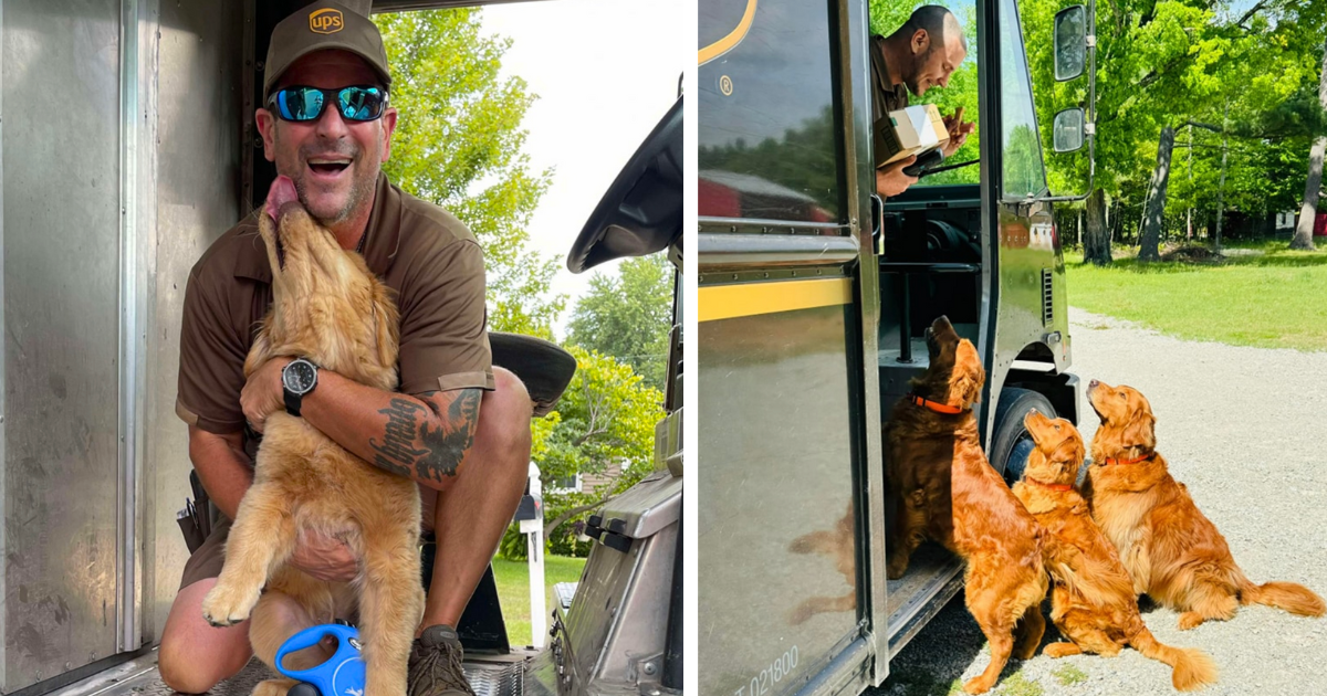 Perfect Package of 30 Adorable Canine Connections from Facebook Group ...