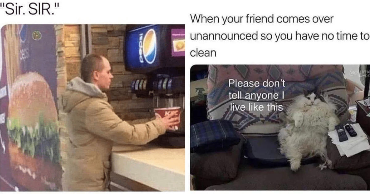 Why Am I Like This: 33 Relatable Posts About Not Being a Fully ...