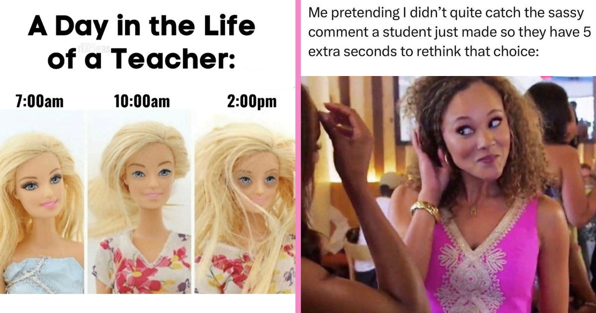 25 Teacher Memes for Brave Women in Education Who Deserve a Raise ...
