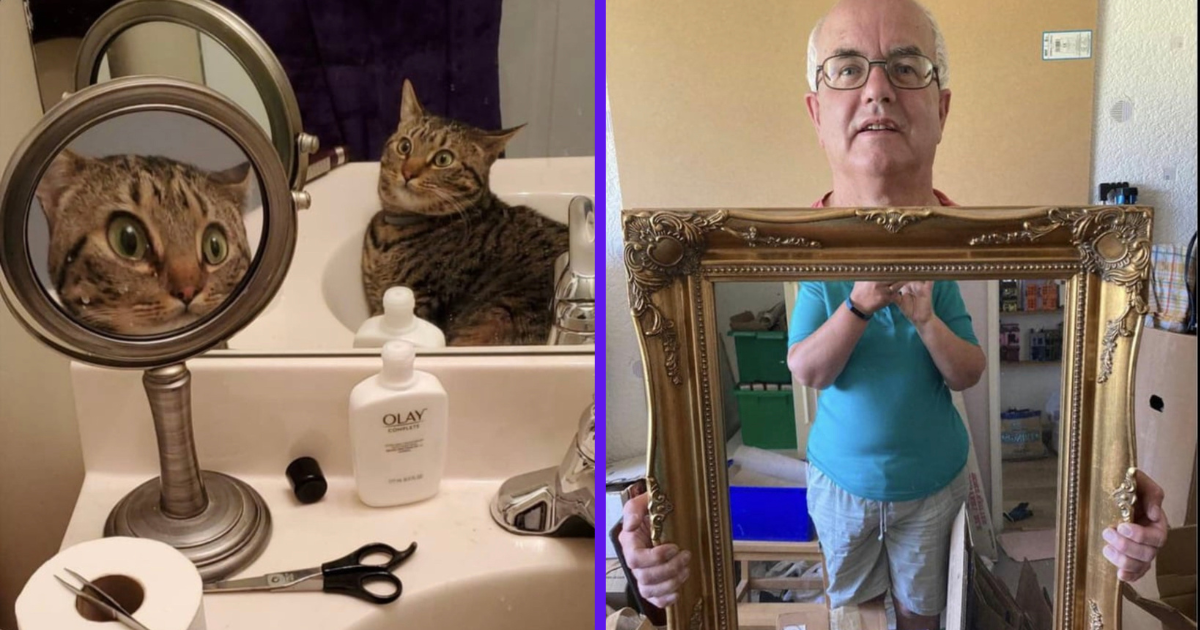 30+ Hilarious and Surreal Snapshots of Mirrors for Sale from the Depths ...