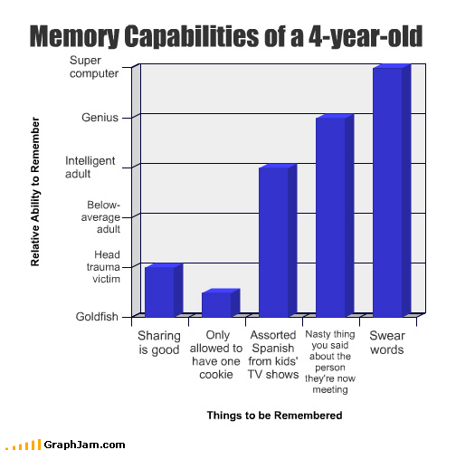 GraphJam - memory - funny graphs - Cheezburger