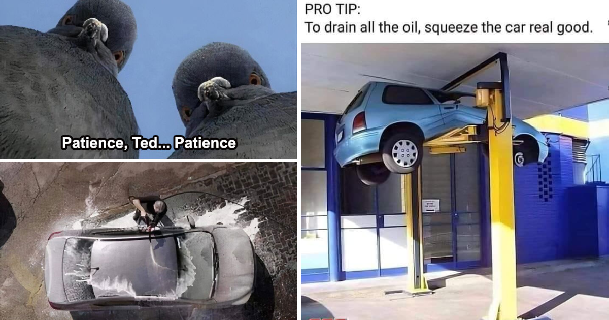 33 High-Octane Car Memes for Motorheads Who Just Want to Hit the Road ...