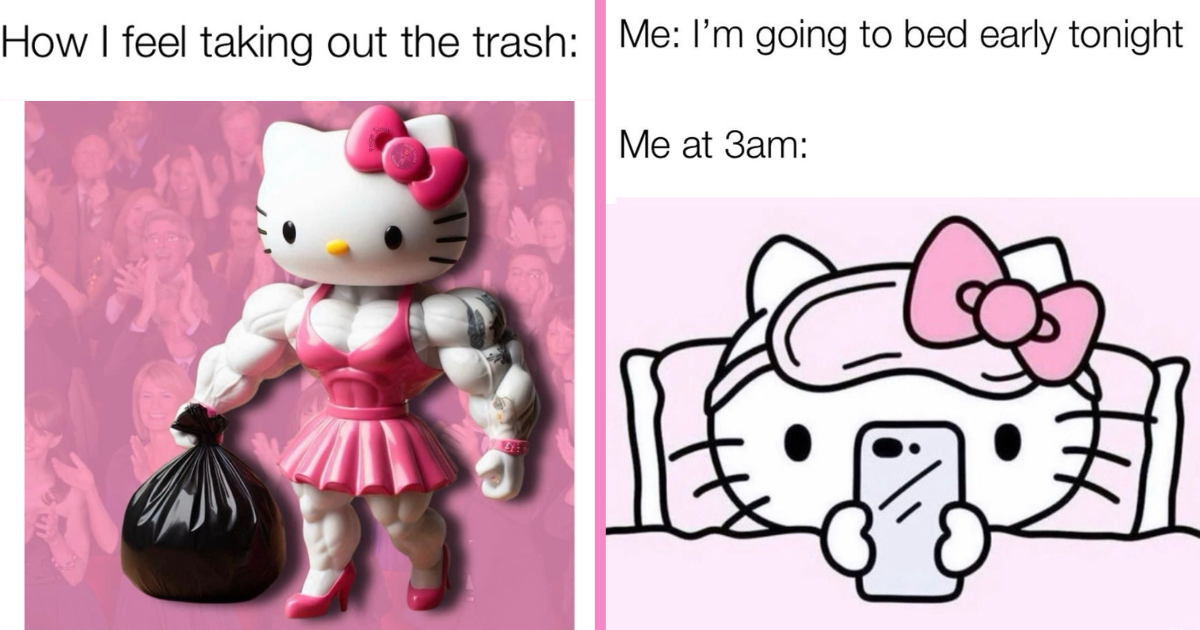 30 Demure Hello Kitty Memes for Very Mindful Ladies Who Indentify with ...