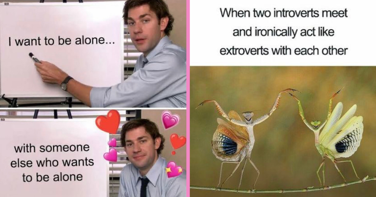25 Introvert Memes for Homebody Couples Whose Love Language is ...