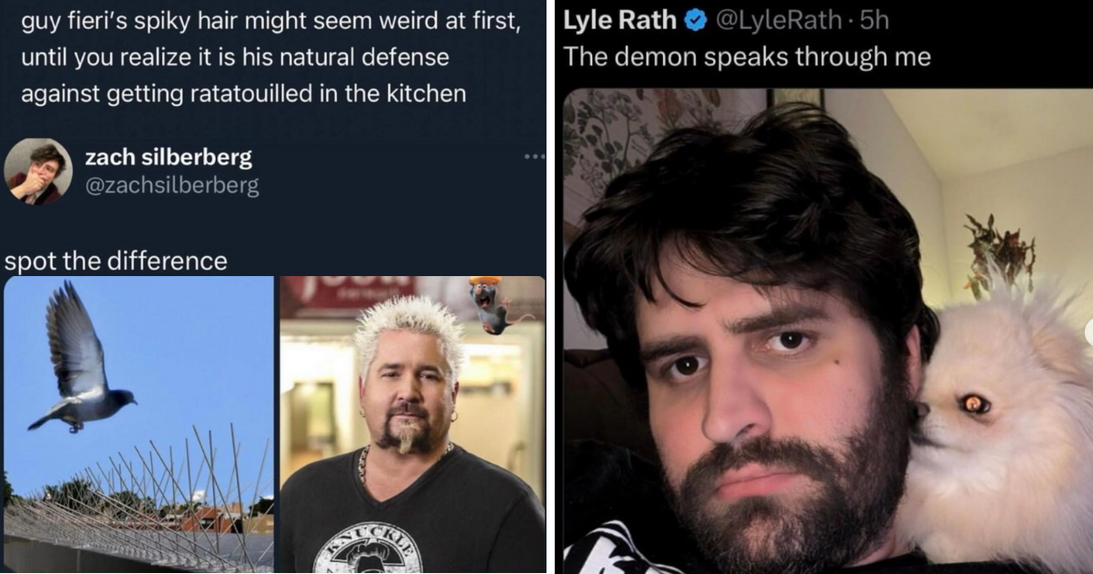 25 Funniest Animal Memes to Become King of the Office Jungle By Leading ...