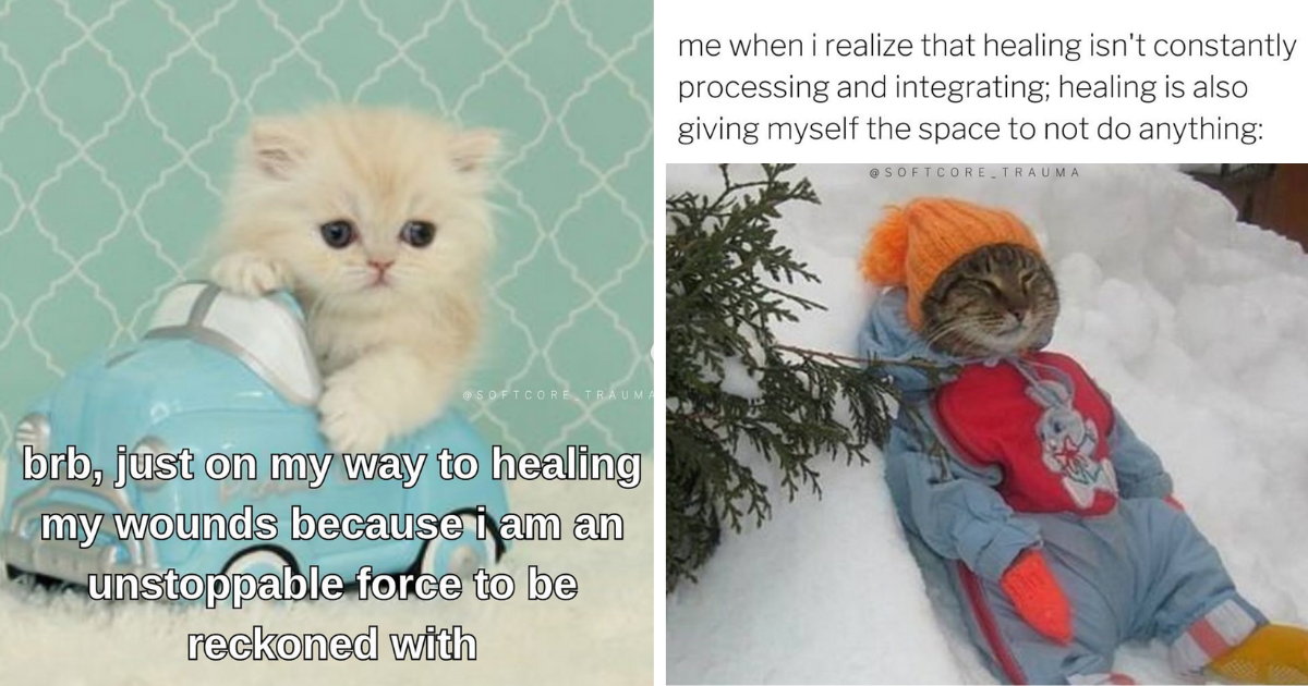 24 Heartwarming Cat Memes for Healing Hooman Souls Who Need A Pawful of ...